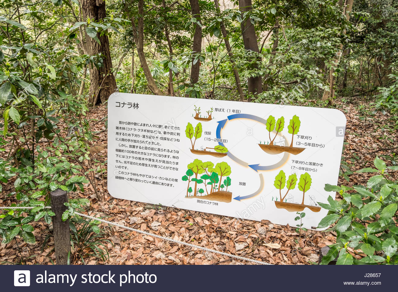 Japanese Signage High Resolution Stock Photography and Images - Alamy