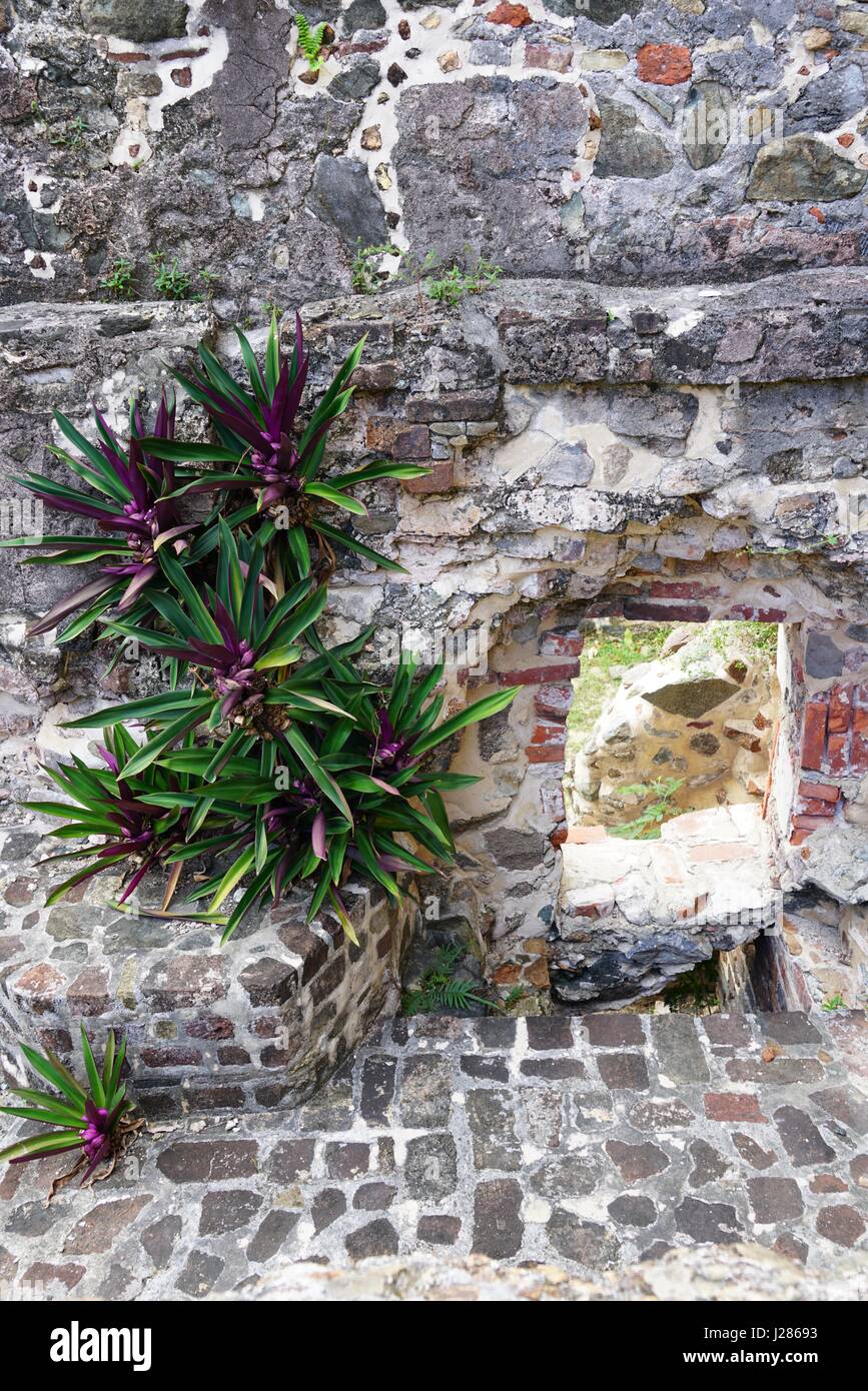 ST JOHN, US VIRGIN ISLANDS - View of the historic landmark Annaberg ...