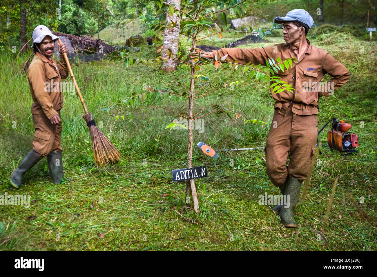 Reforestation Before And After