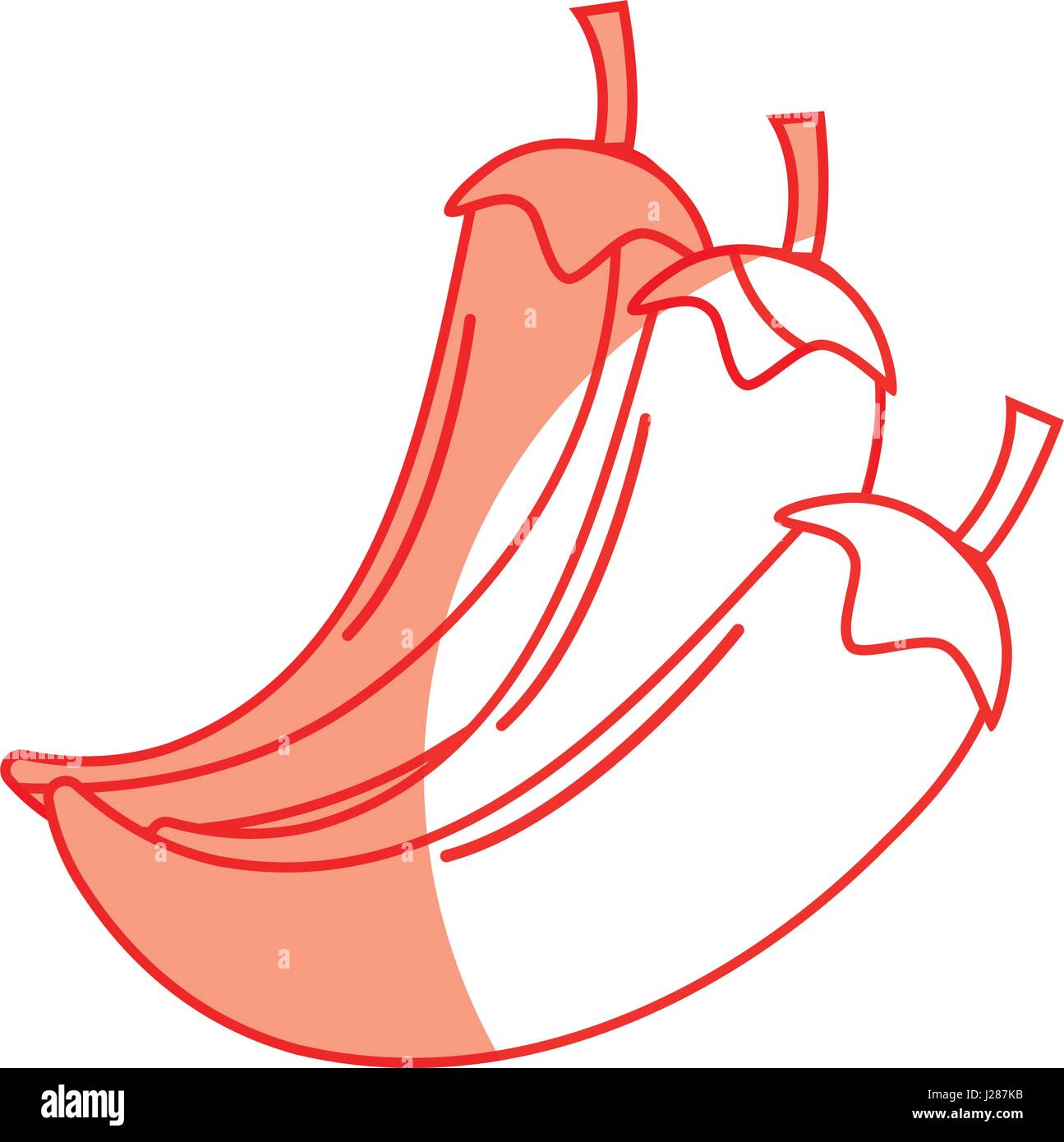 silhouette chilli peppers organic healthy vegetable Stock Vector Image ...