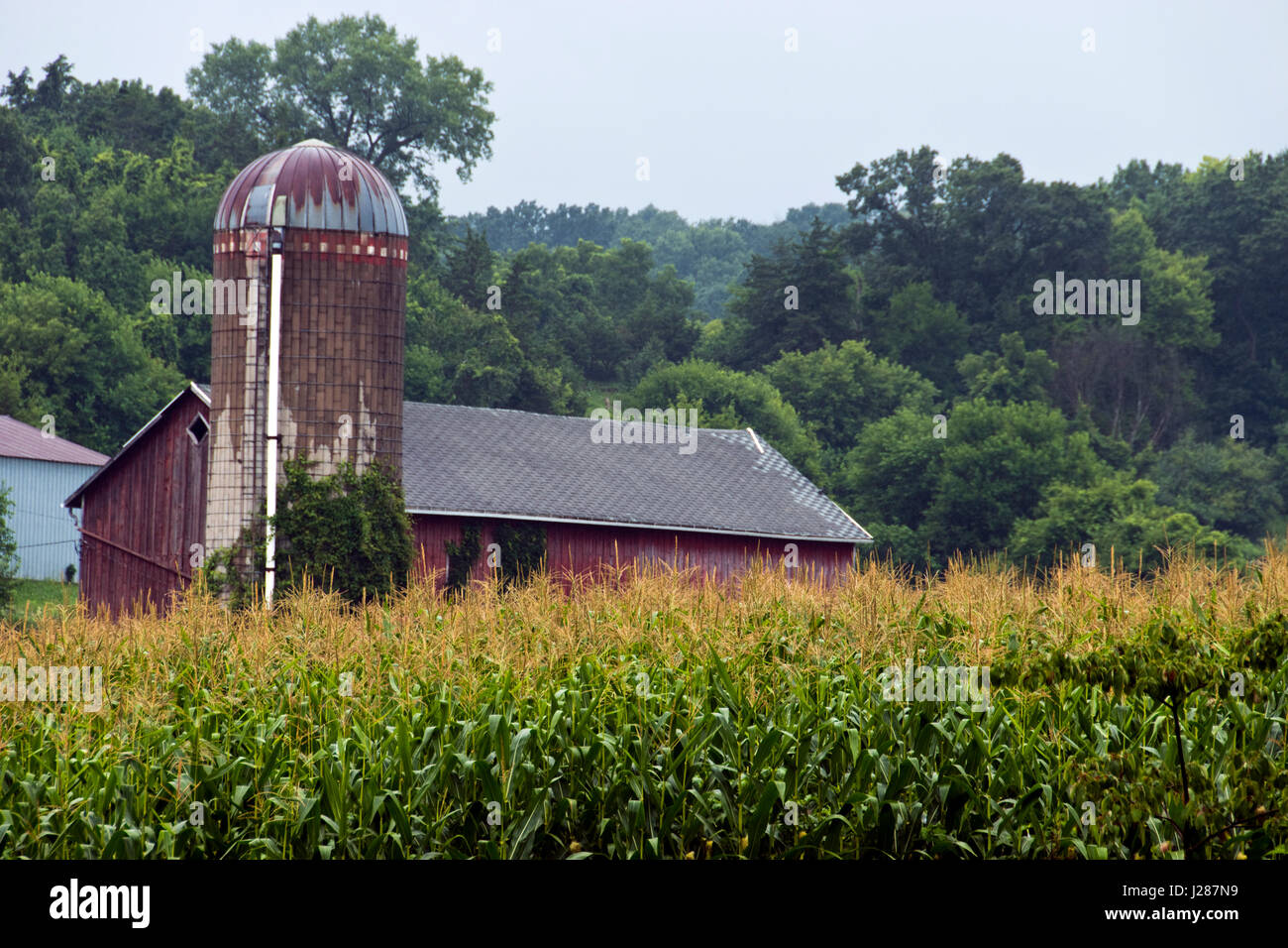 A farm barn near Taliesin, the estate of American architect Frank Lloyd ...