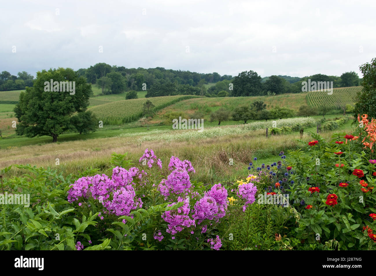 Garden flowers and farm fields at Taliesin, the estate of American ...