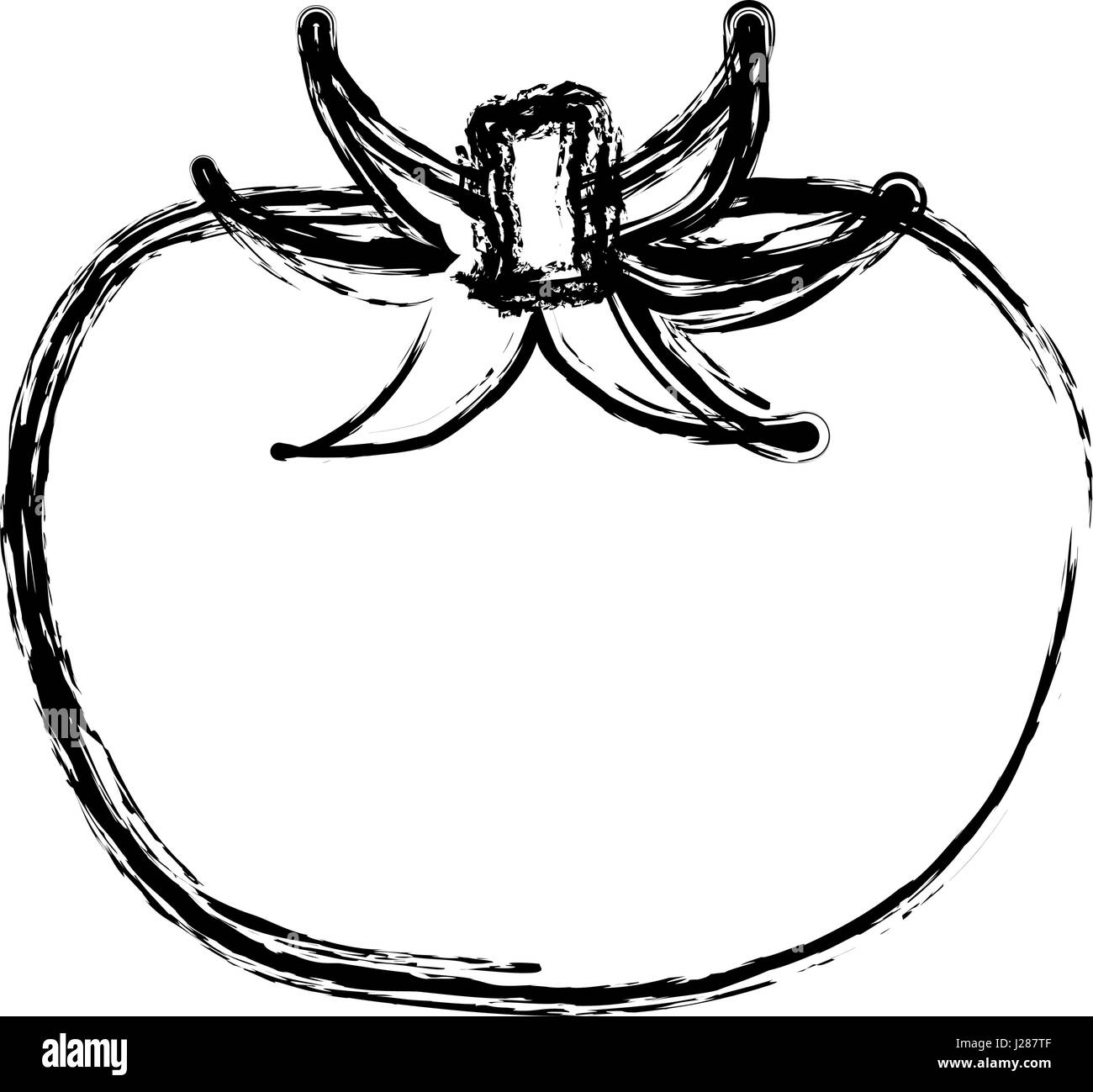 figure tomato organic healthy vegetable Stock Vector Image & Art - Alamy