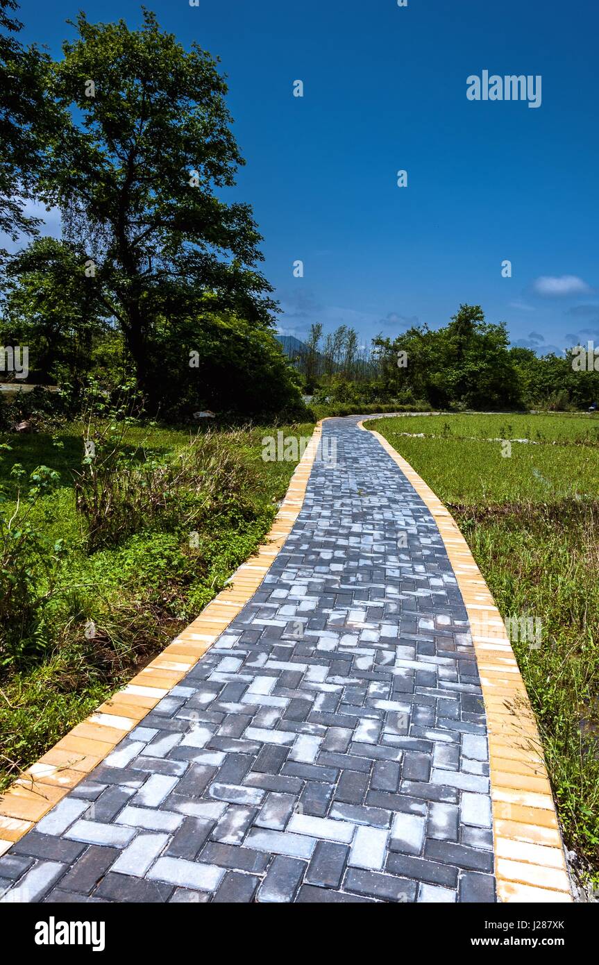 The countryside road scenery Stock Photo - Alamy