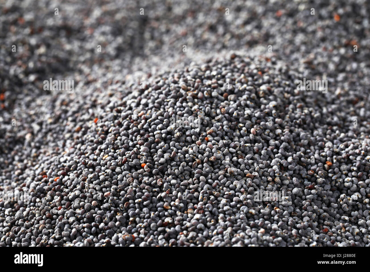 Whole black poppy seeds, full frame Stock Photo - Alamy