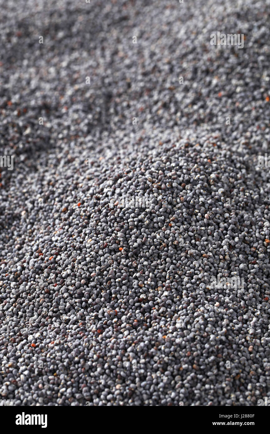 Whole black poppy seeds, full frame Stock Photo - Alamy