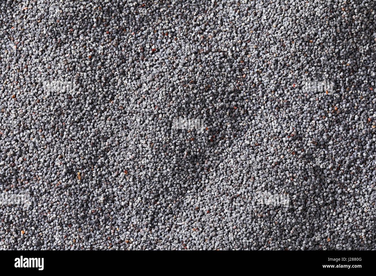 Whole black poppy seeds, full frame Stock Photo - Alamy