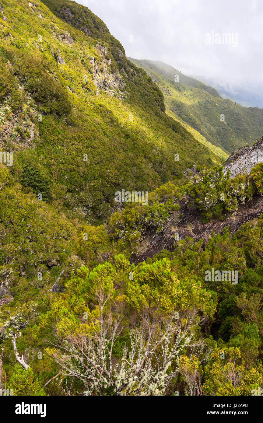 Rabacal valley hi-res stock photography and images - Alamy
