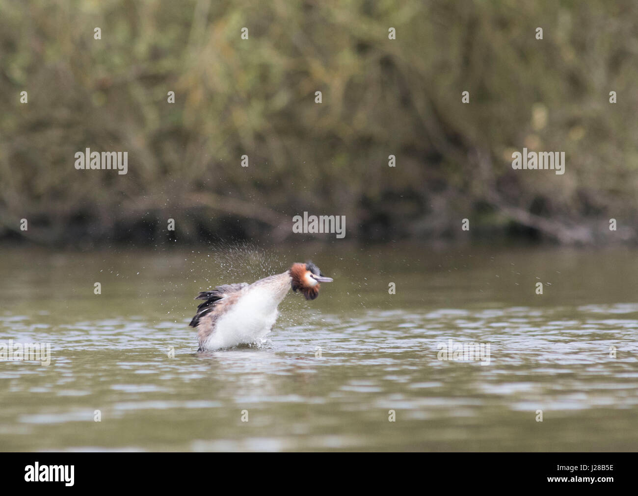 Greay High Resolution Stock Photography and Images - Alamy