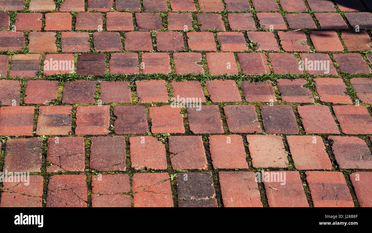 Road surface made of red bricks laid in rows Stock Photo - Alamy