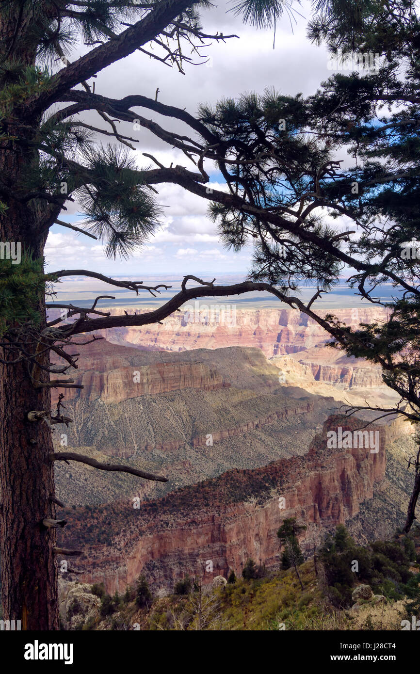 View north from the canyon rim at sunset point in hi-res stock ...