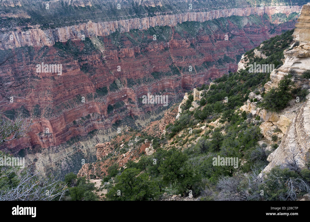 Colorful view of the Grand Canyon with layers of rock visible as seen ...