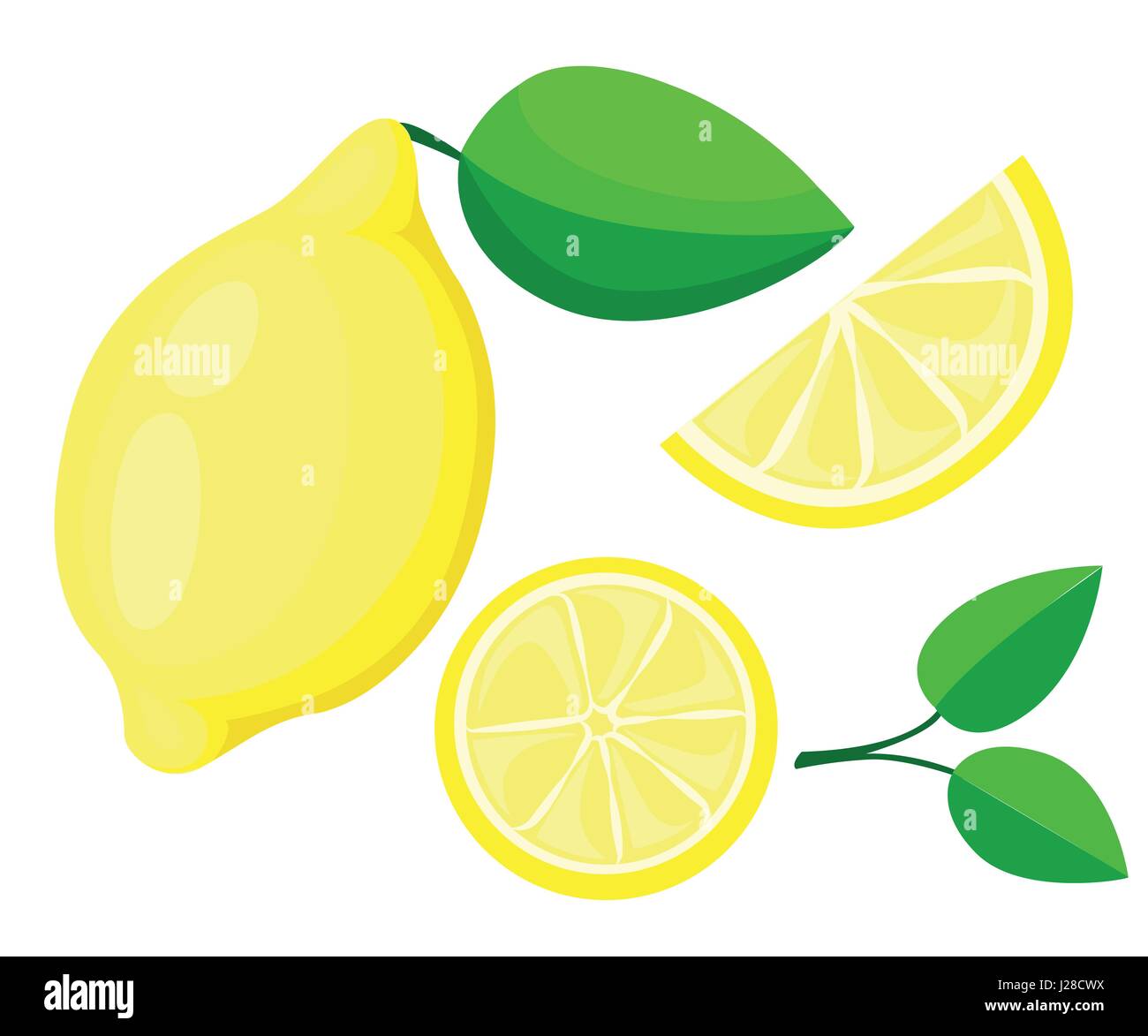 Vector lemon. Fresh lemon fruits, collection of vector illustrations ...