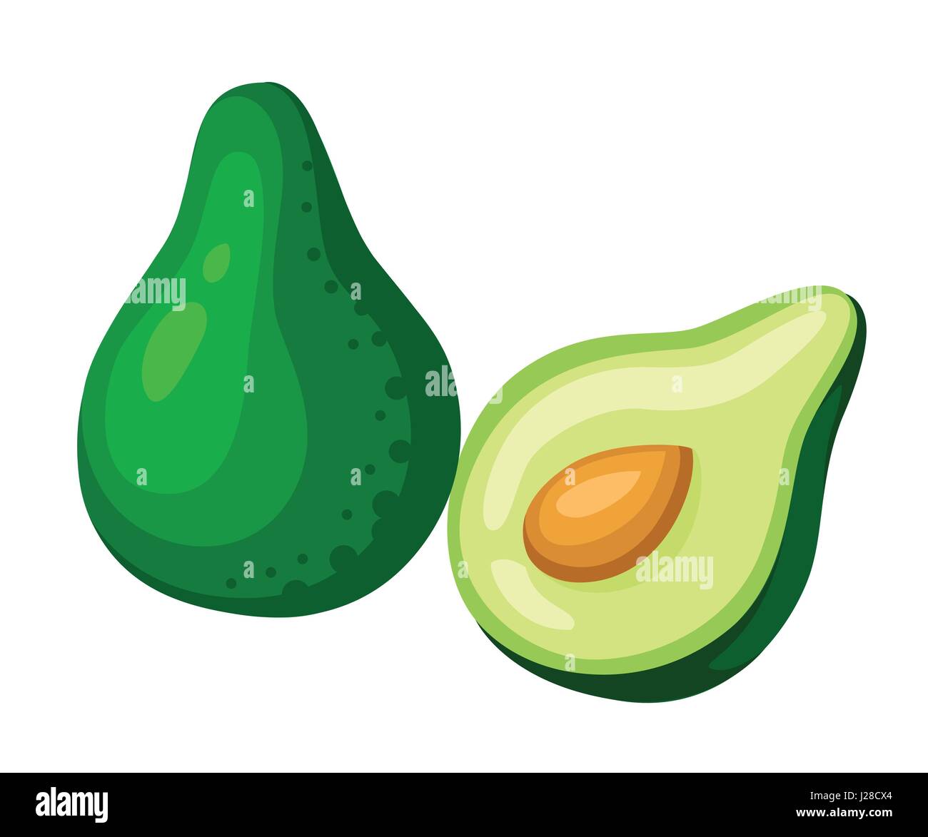 Vector avocados illustration. Whole and cut avocado isolated on white ...