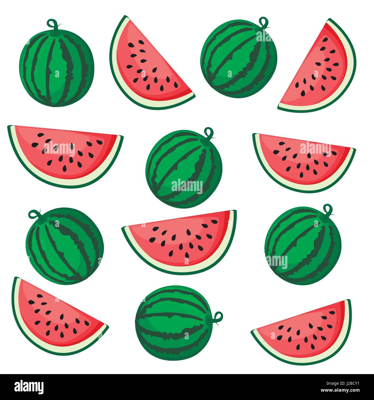 Watermelon Vector