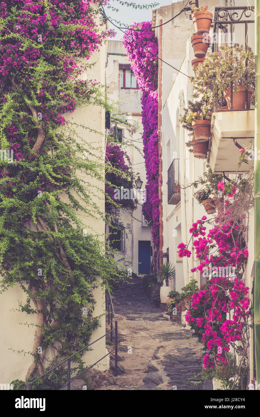 Narrow street in famous village of Cadaques. Spain, Catalonia, Costa ...