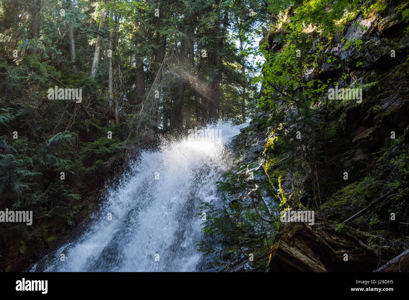 Chasing waterfalls hi-res stock photography and images - Alamy