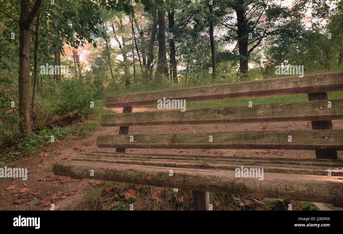 Late summer in Ontario Canada - park bench along a walking trail Stock ...