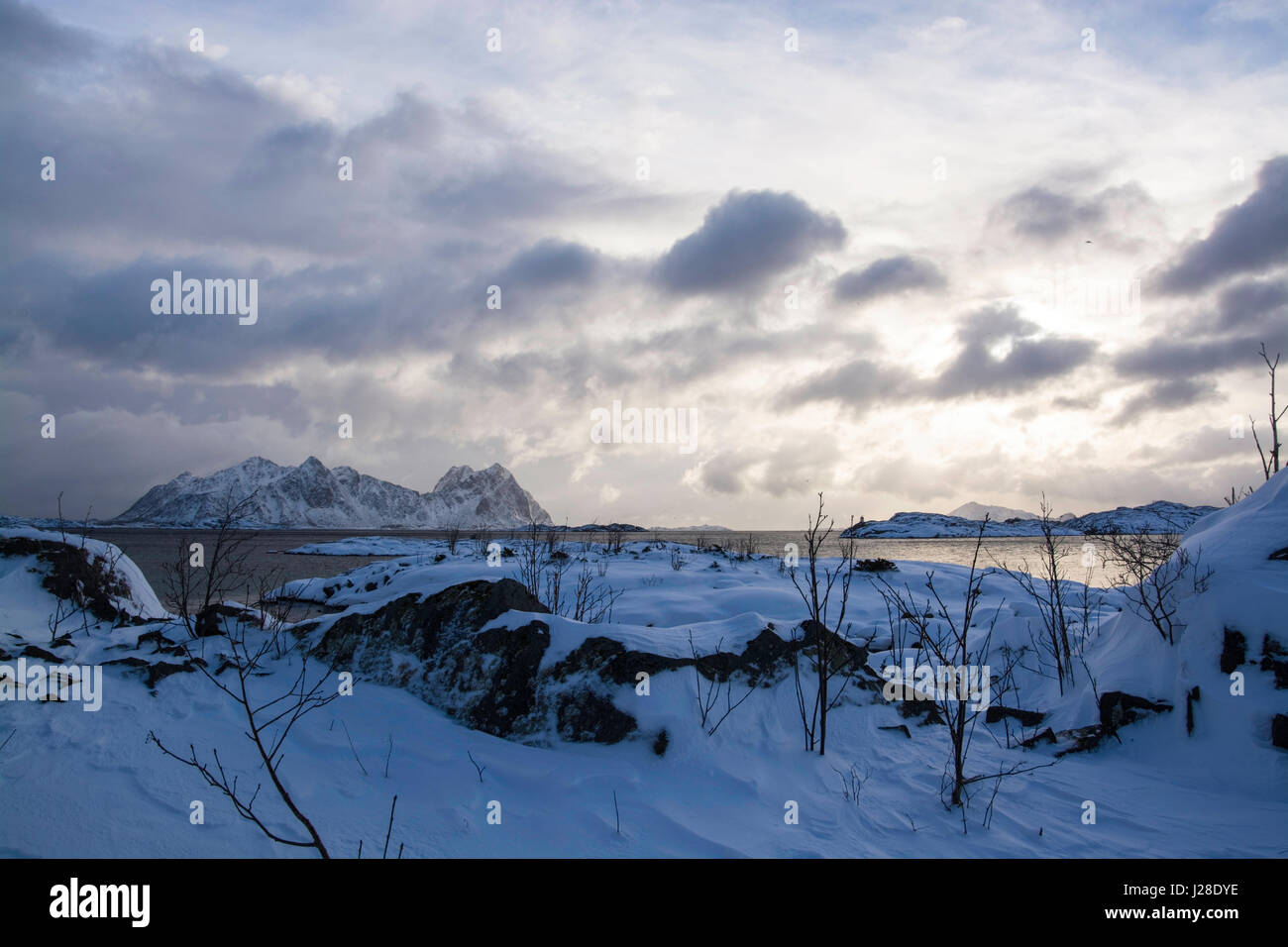 Svolvaer at the Lofoten, Norway, in winter Stock Photo - Alamy