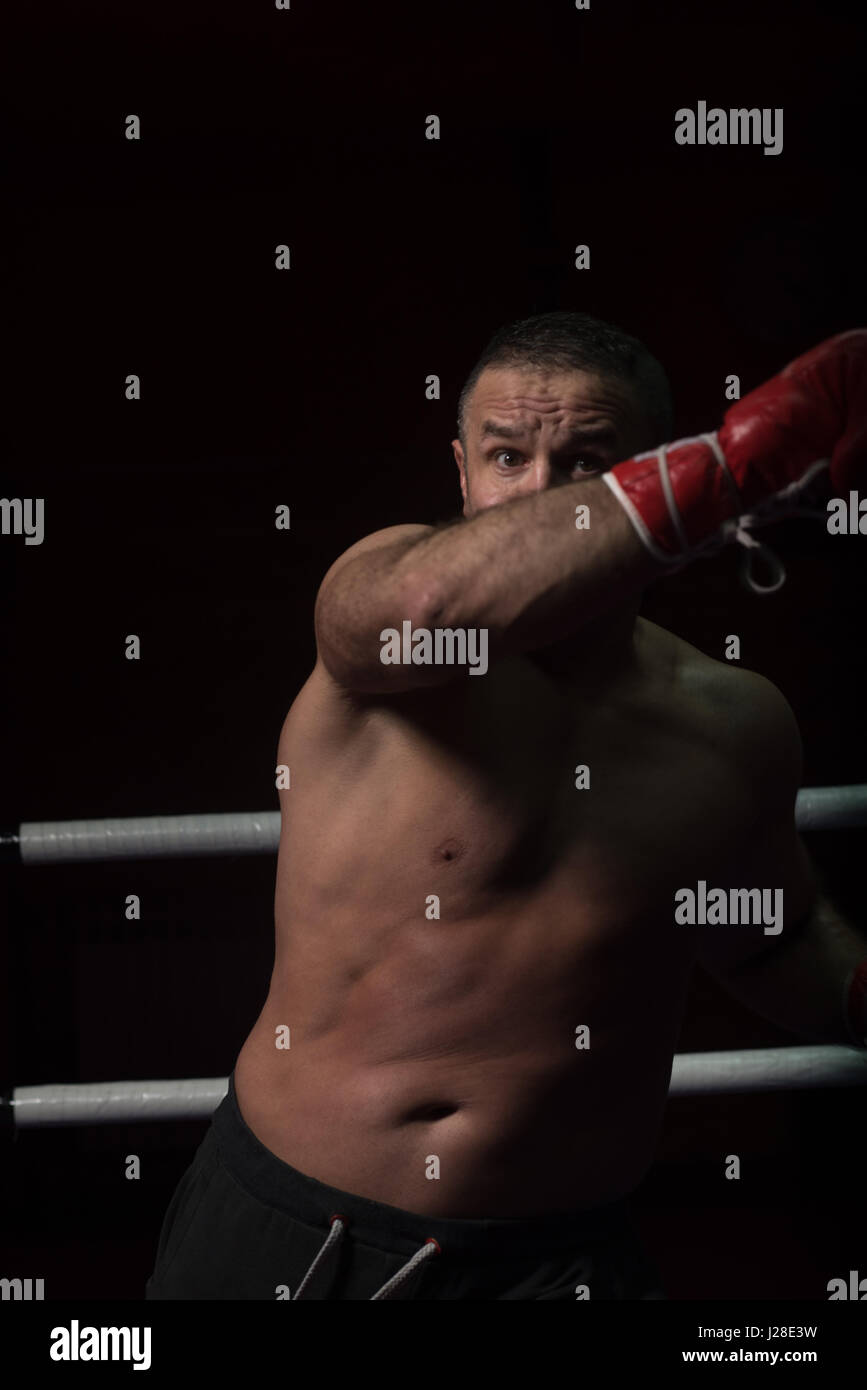 professional kickboxer with hands in martial arts position training for ...