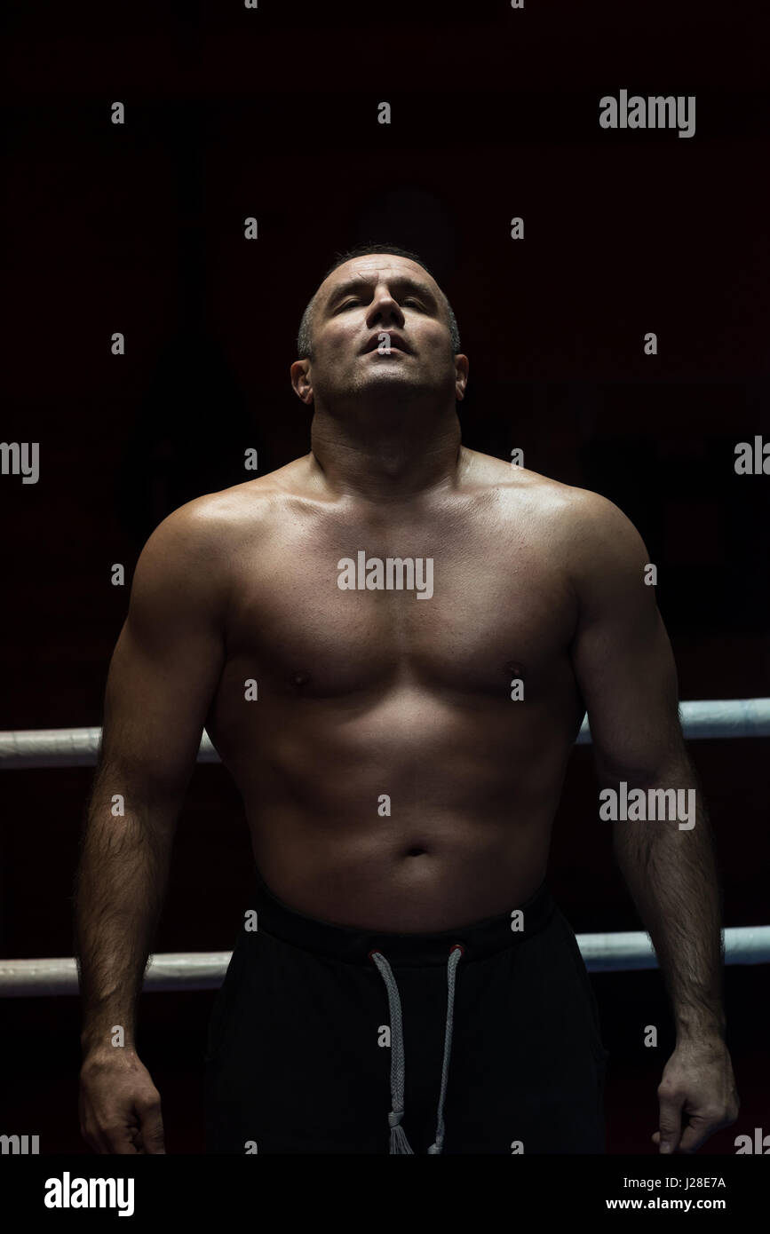 portrait of muscular professional kickboxer who standing in the ring ...