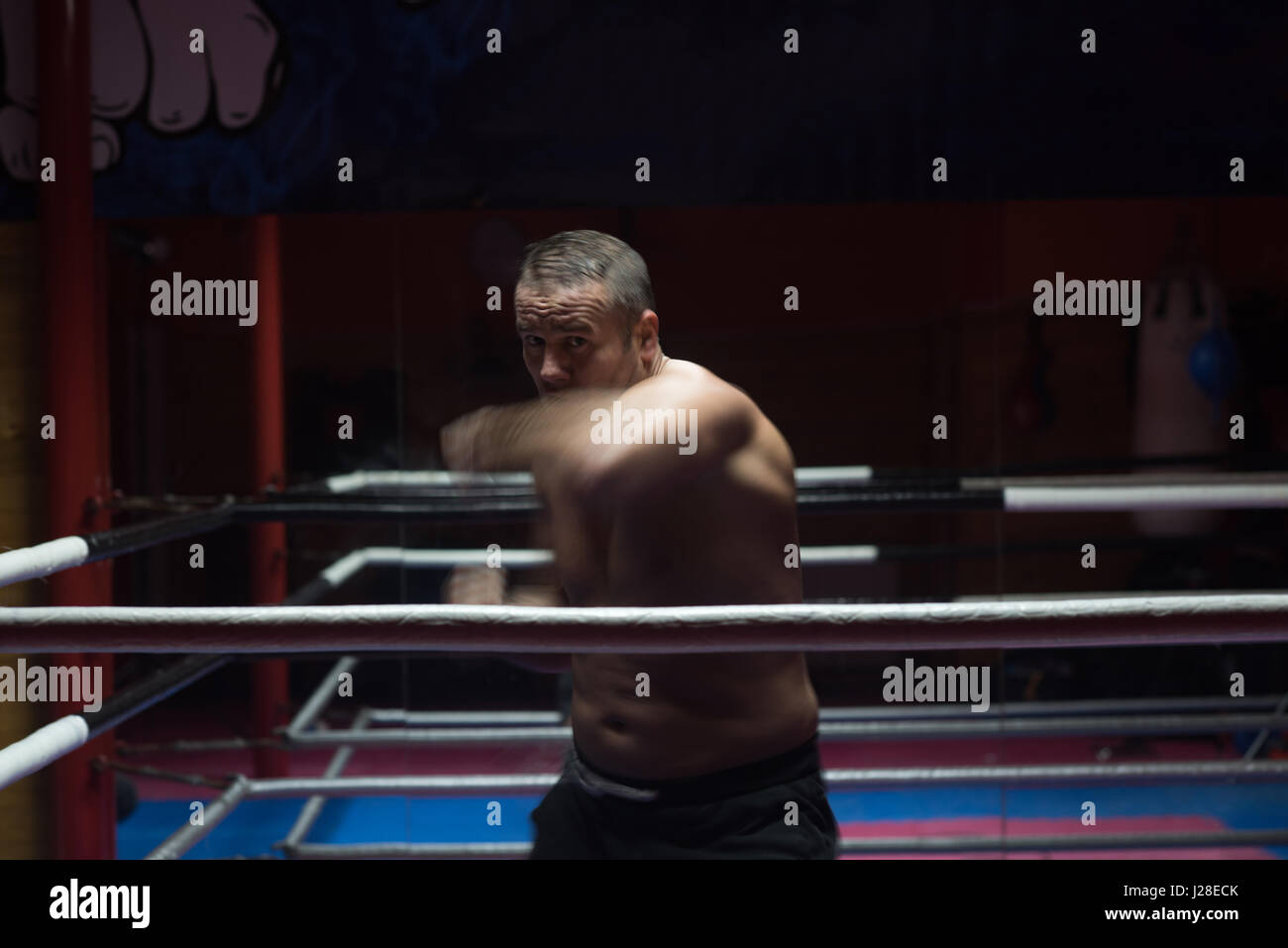 professional kickboxer with hands in martial arts position training for ...