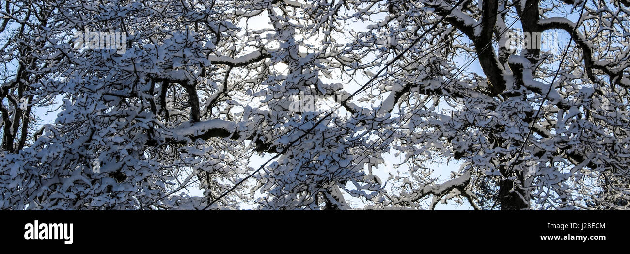 Please snow forever hi-res stock photography and images - Alamy