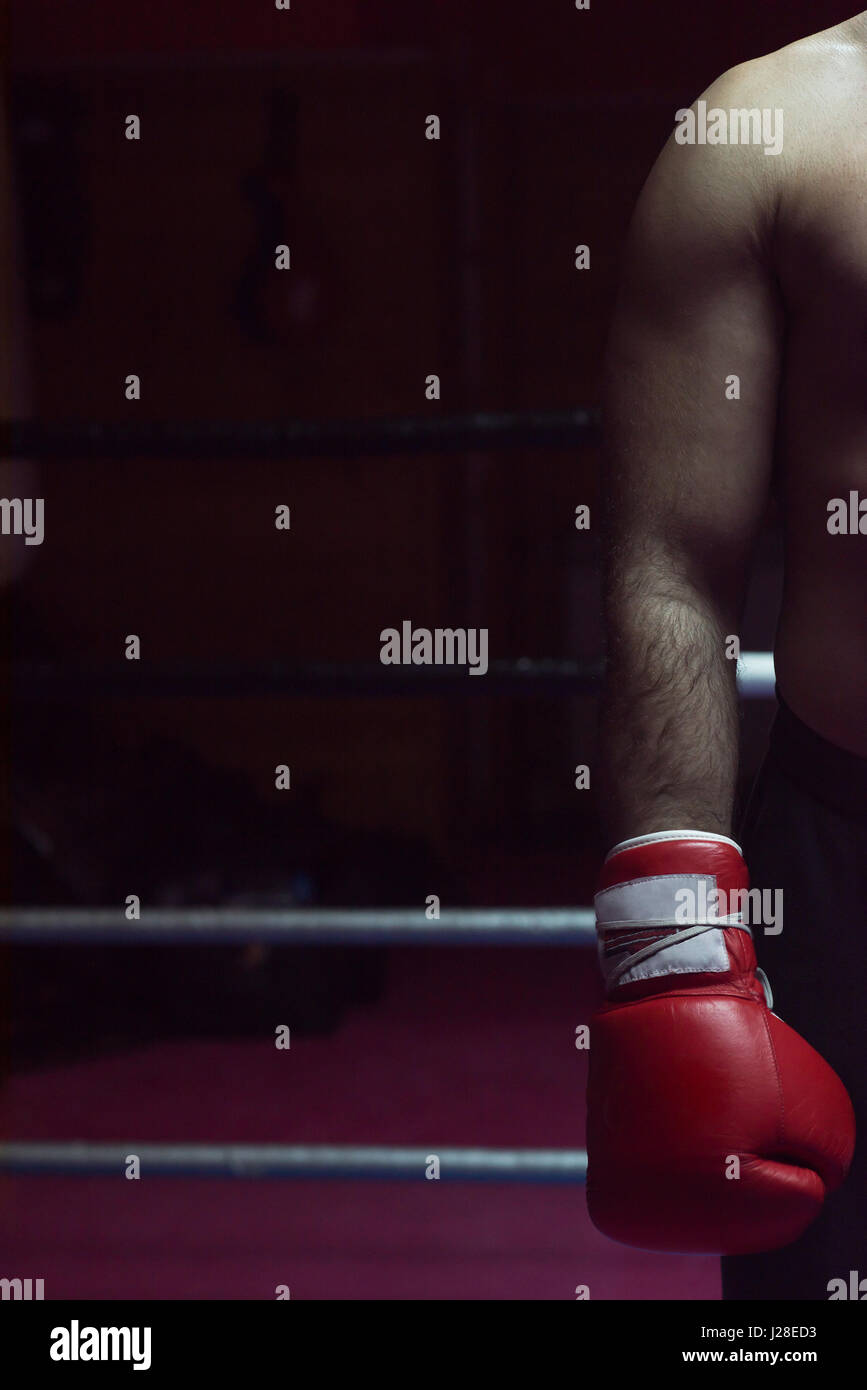 muscular professional kick boxer resting on the ropes in the corner of ...