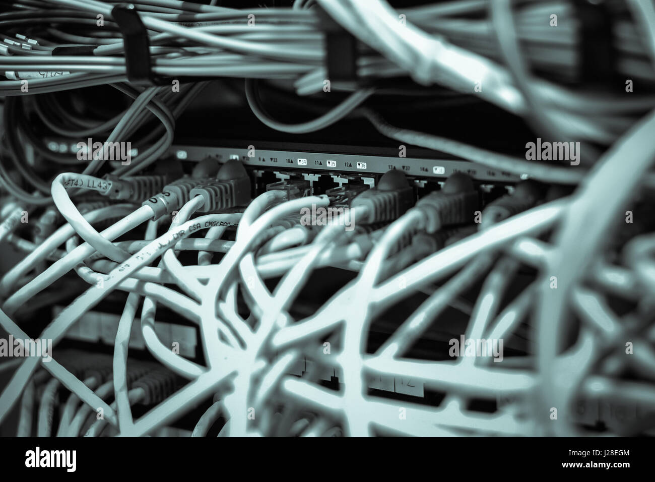 Network cable in data center Stock Photo - Alamy
