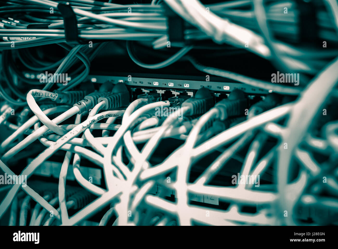 Network cable in data center Stock Photo - Alamy