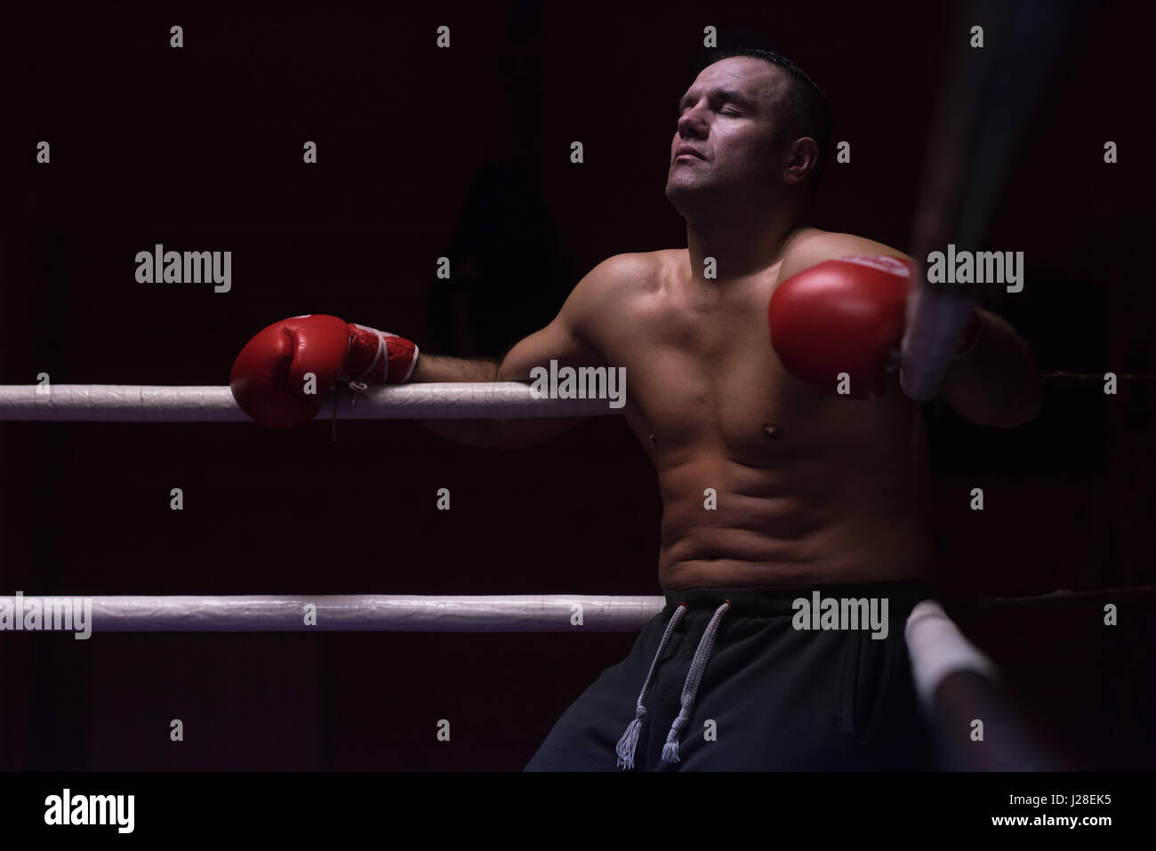 muscular professional kick boxer resting on the ropes in the corner of ...
