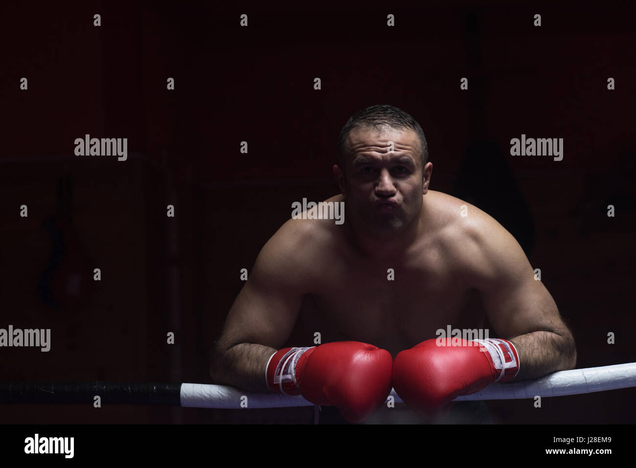 portrait of muscular professional kickboxer who standing in the ring ...