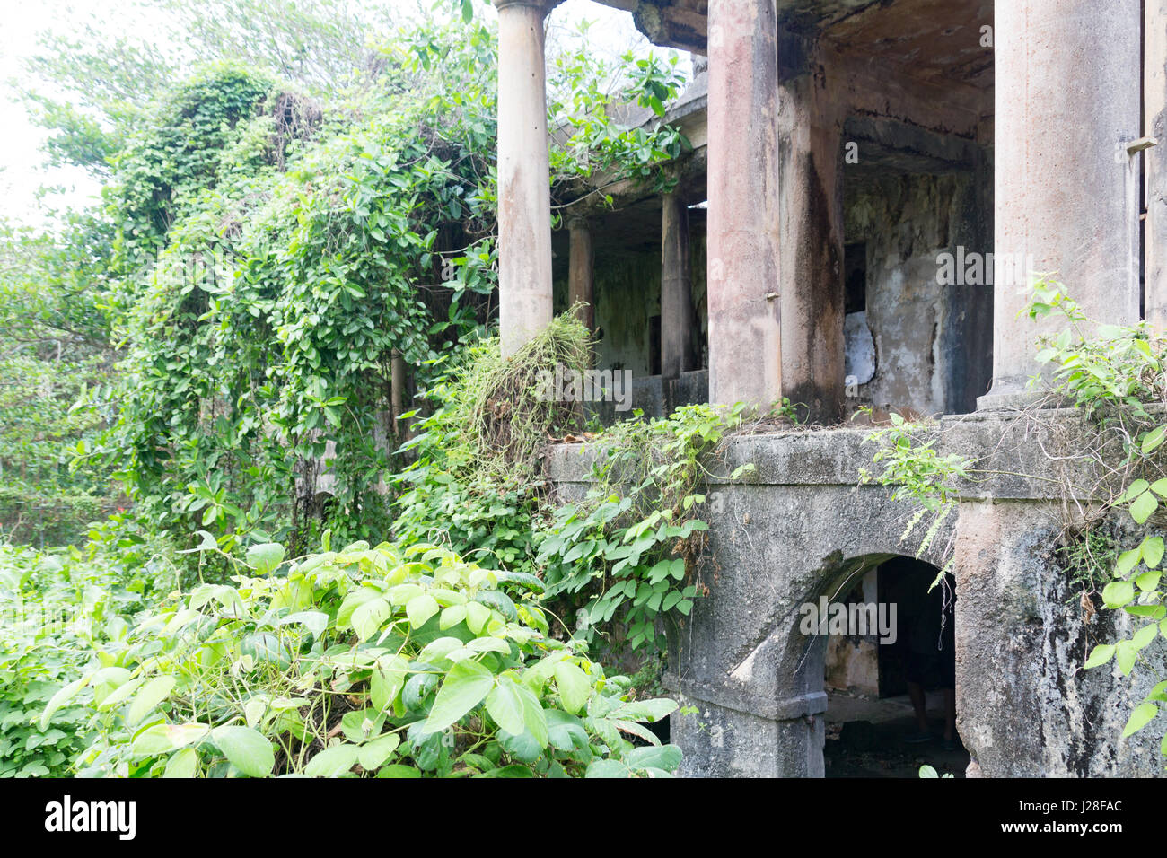 Jamaica, Port Antonio, Folly Mansion Ruin Stock Photo - Alamy