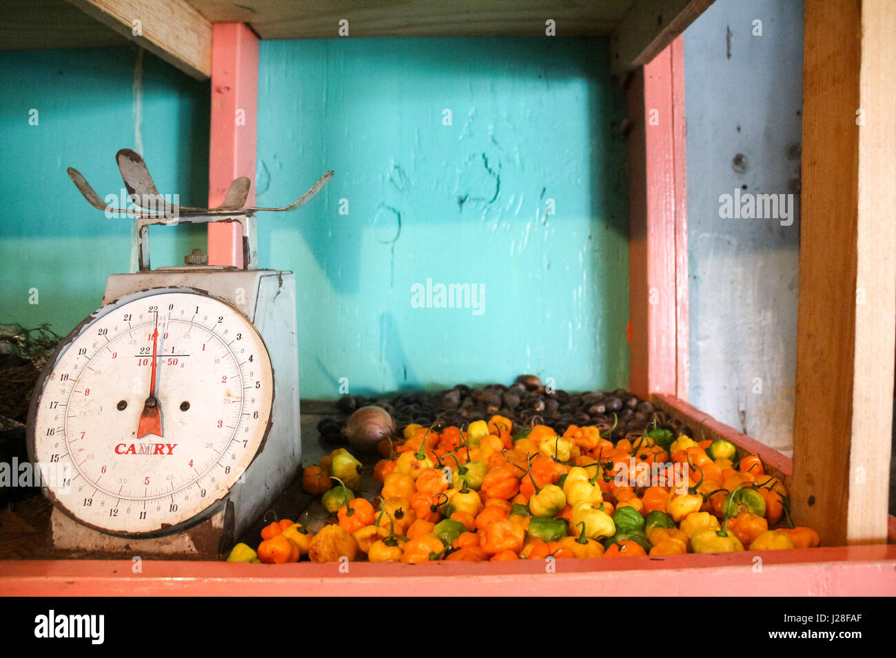 Jamaica, Port Antonio, Jamaican Chilis, Jamaican chili in the wooden ...