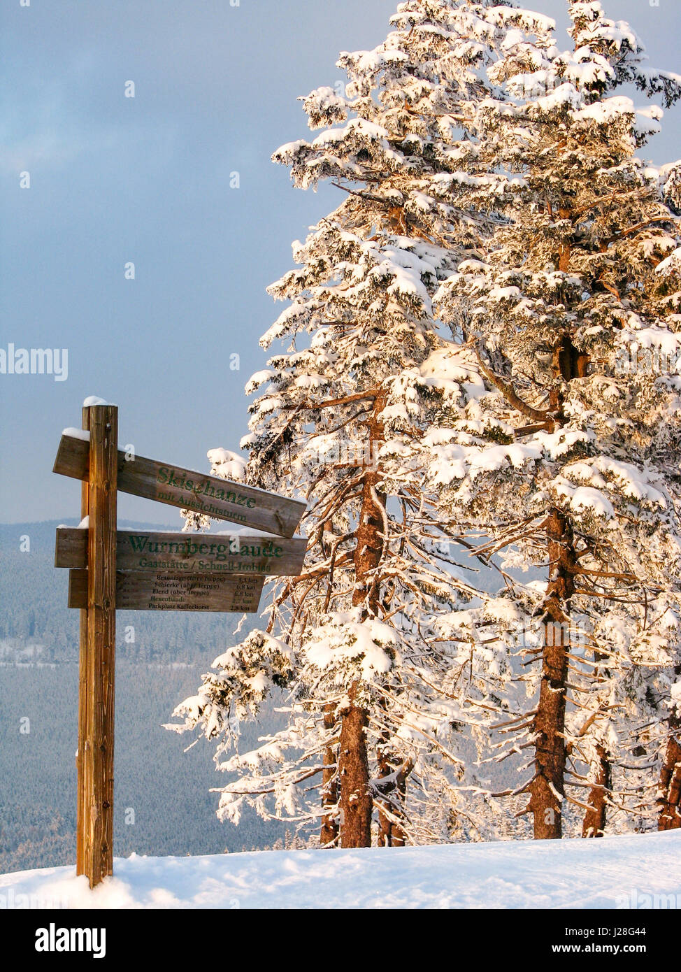 Germany, Lower Saxony, Harz, signpost in the winter forest in the ...