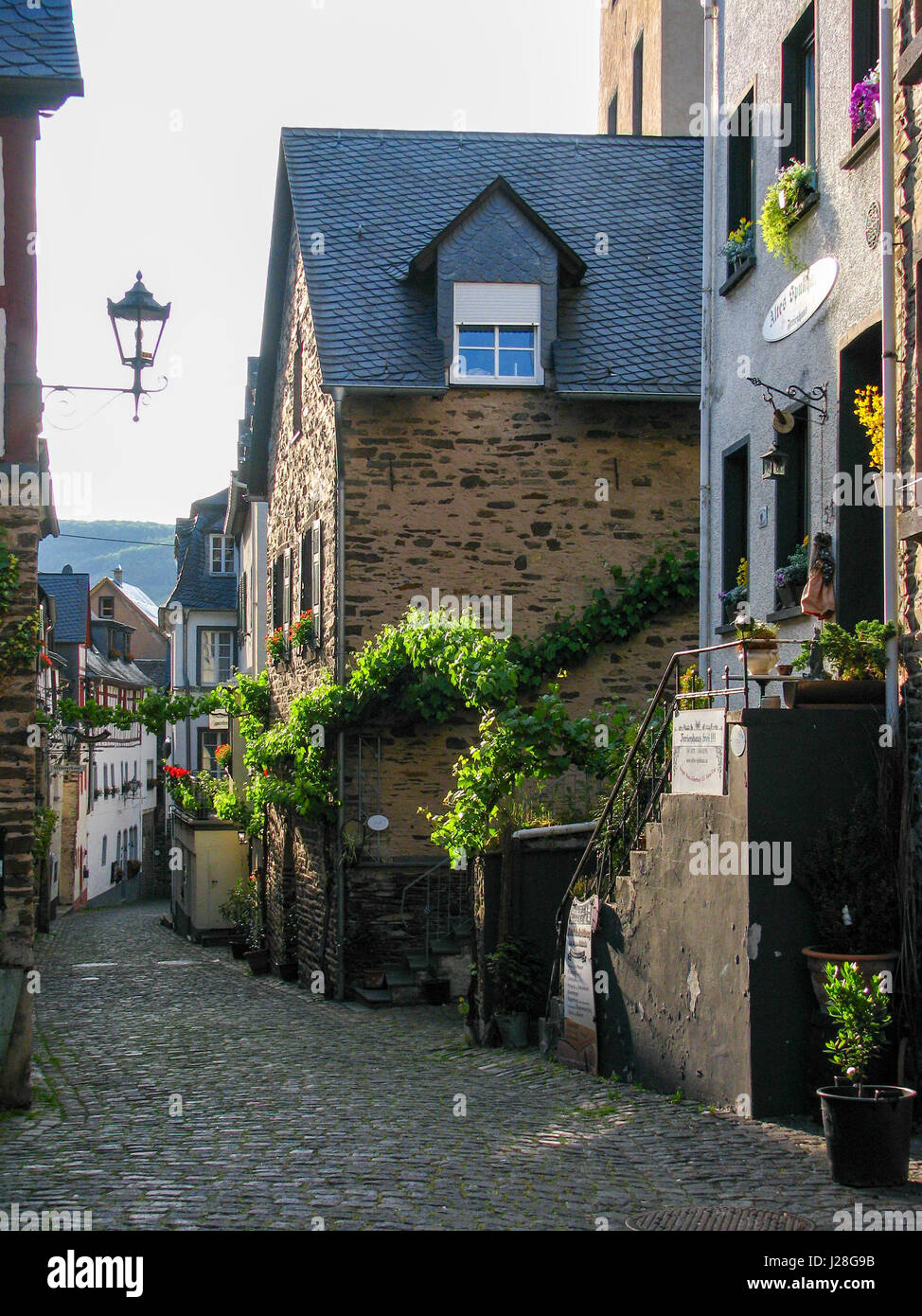 Germany, Rhineland-Palatinate, Beilstein, cobblestone alley with vines ...