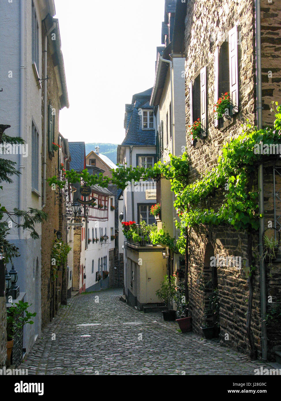 Germany, Rhineland-Palatinate, Beilstein, cobblestone alley with vines ...