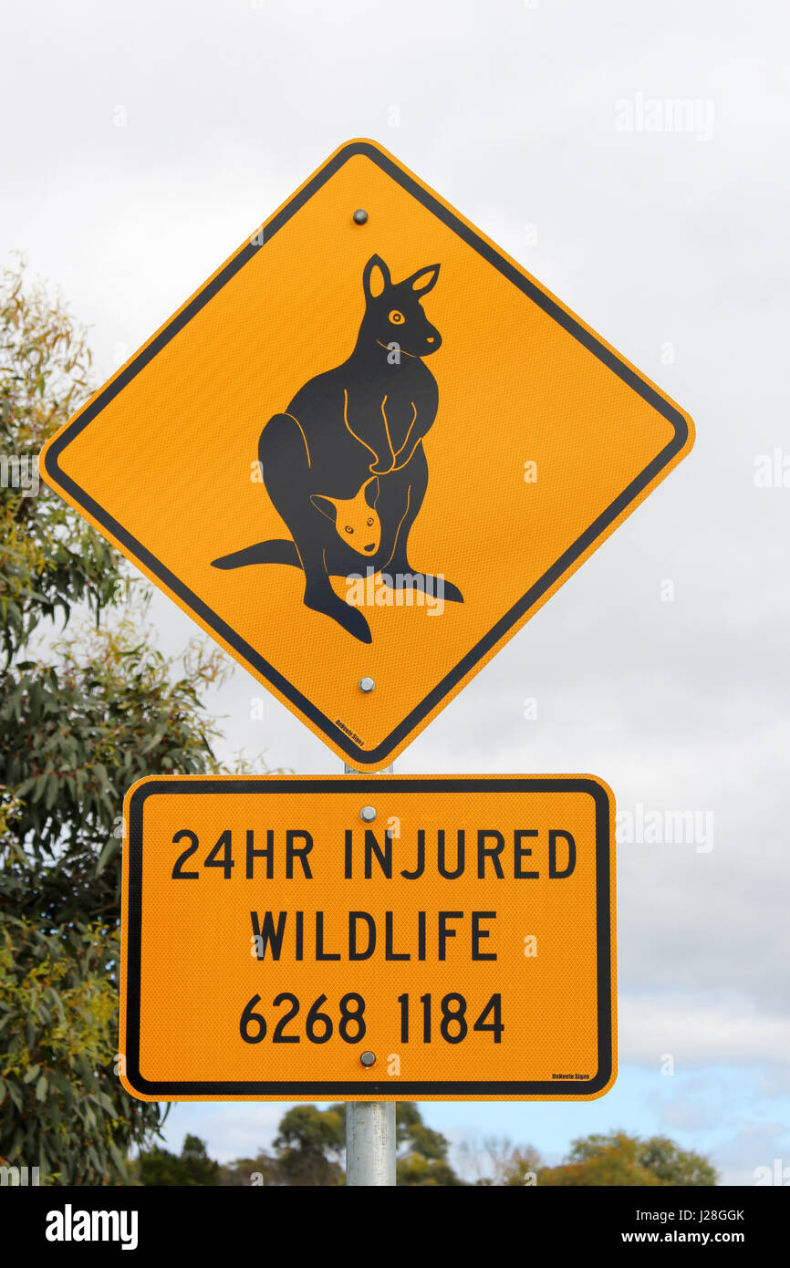 Australia, Tasmania, Kangaroo Warning Sign Stock Photo - Alamy