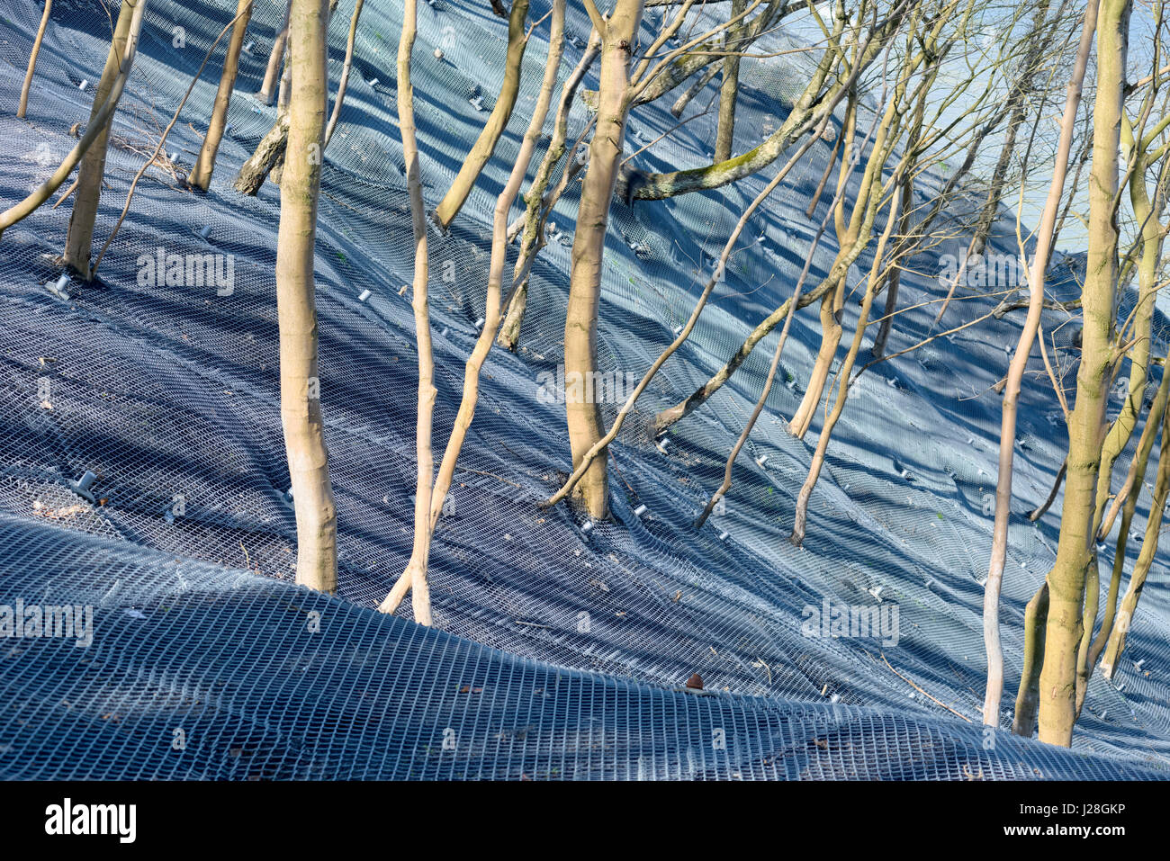 Slope reinforcement hi-res stock photography and images - Alamy