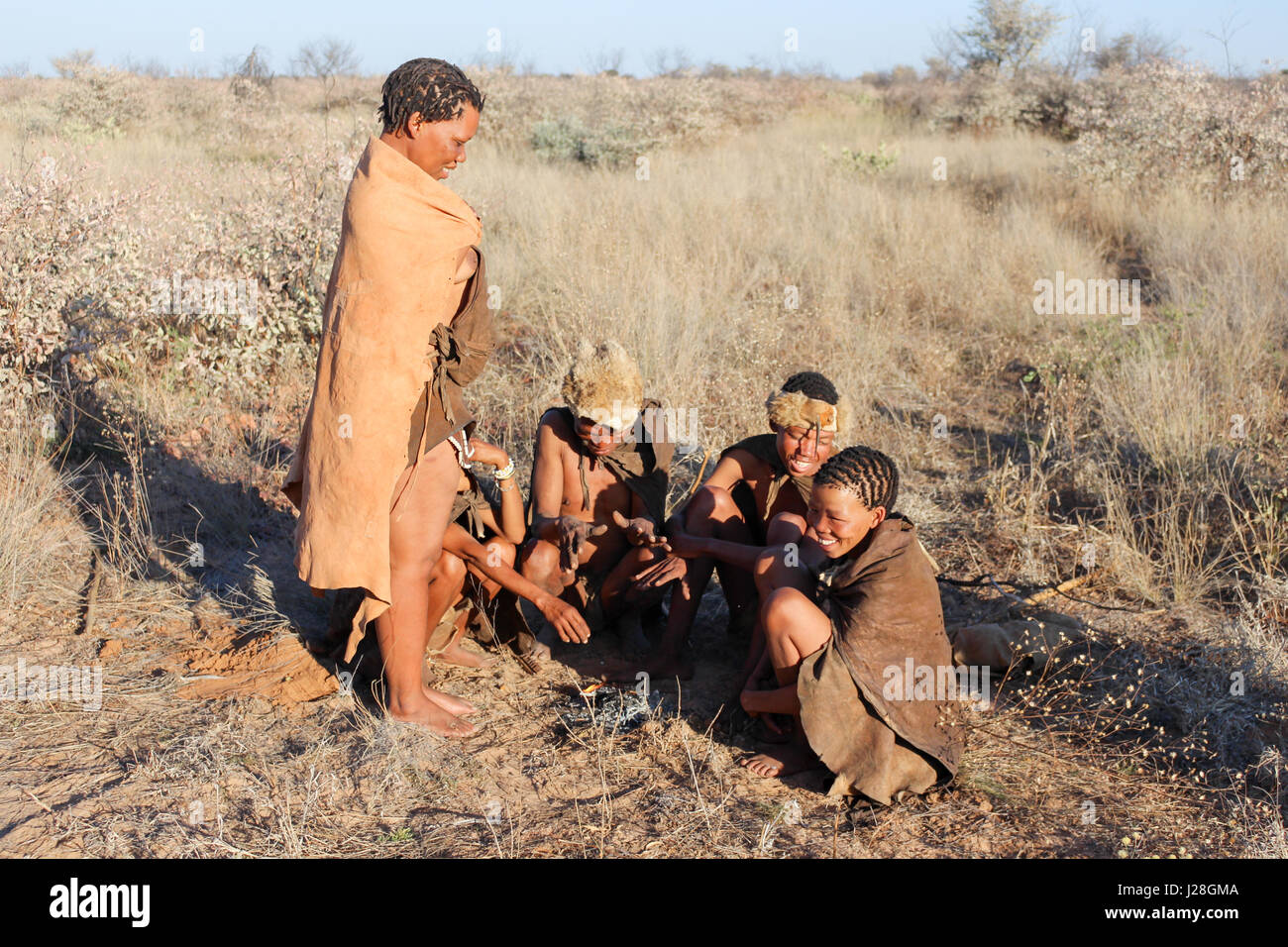 Bushmen food hi-res stock photography and images - Alamy
