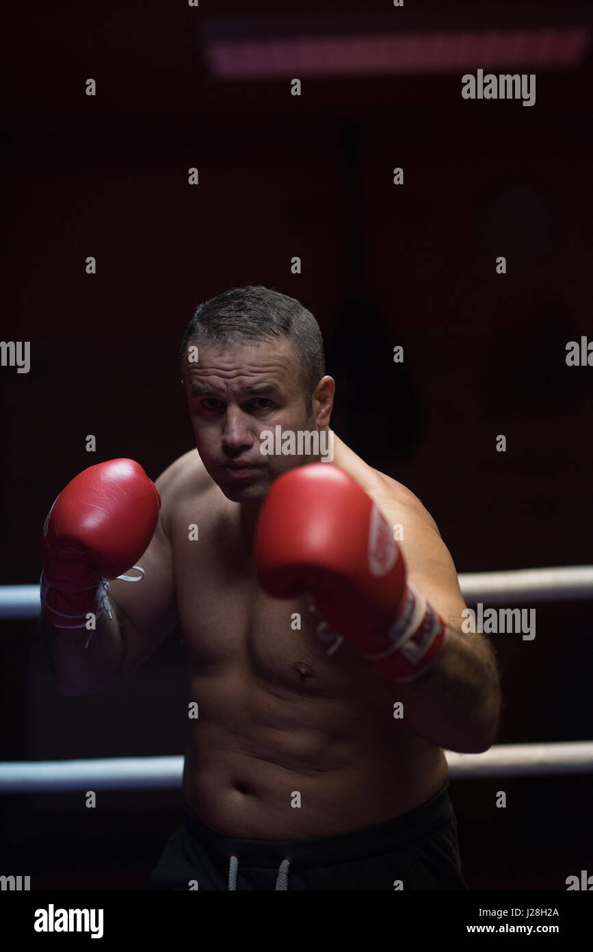 professional kickboxer with hands in martial arts position training for ...