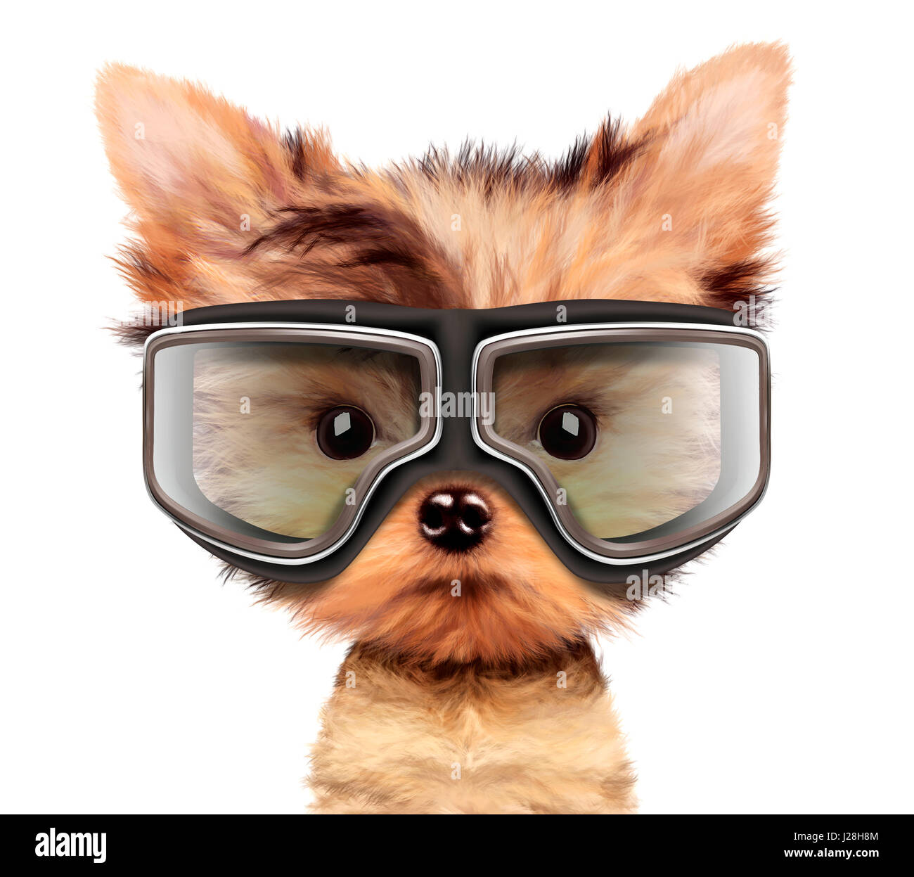 Funny adorable puppy with aviator googles isolated on white. Realistic ...