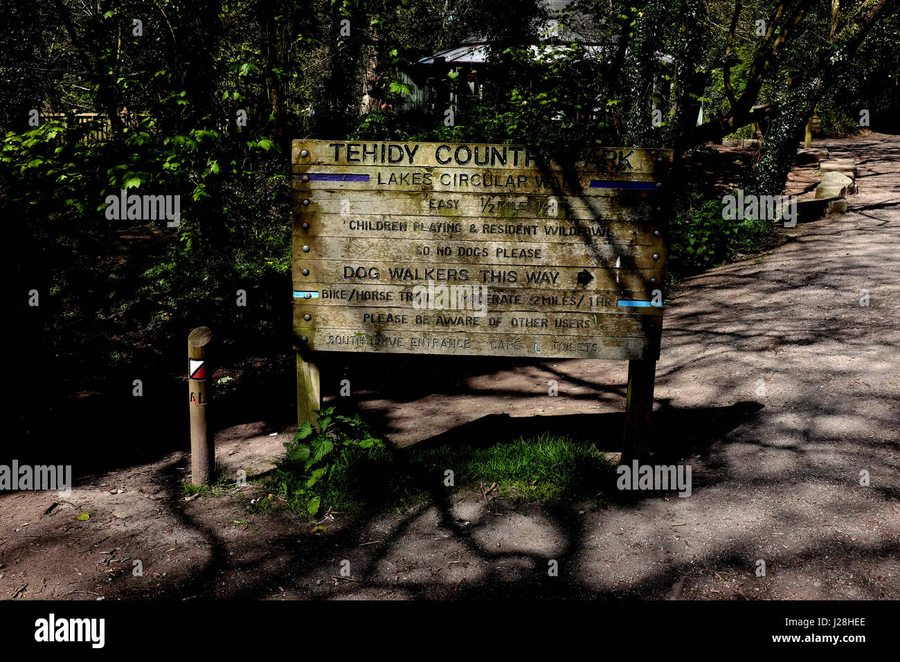 Tehidy woods cornwall uk hi-res stock photography and images - Alamy