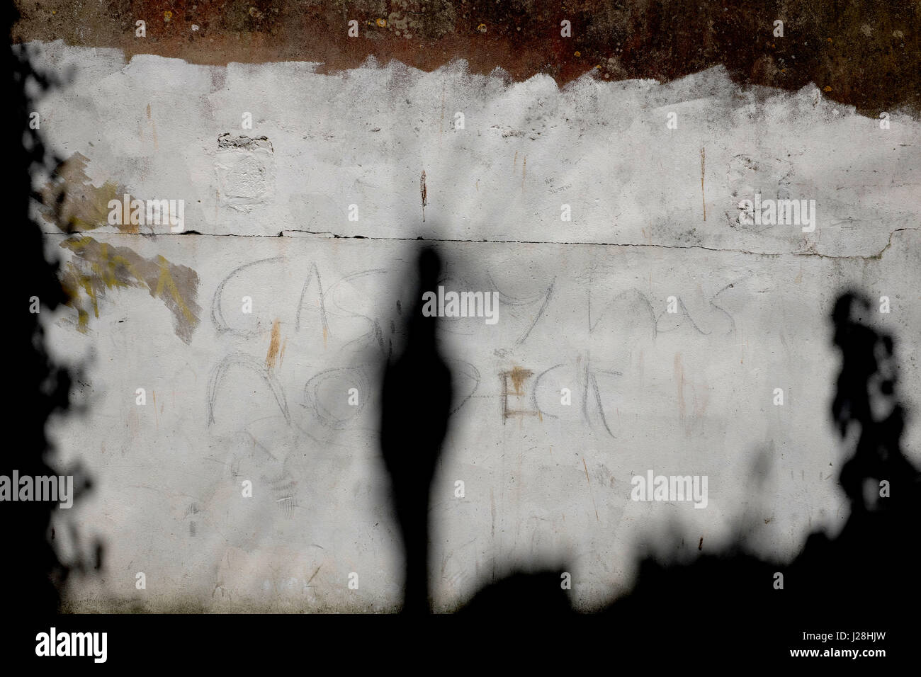 Graffiti cornwall hi-res stock photography and images - Alamy