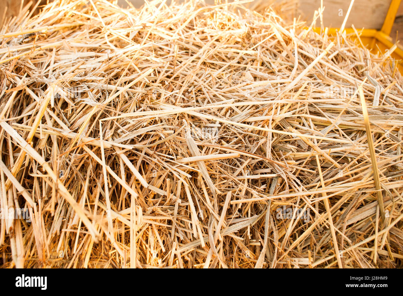 straw background texture Stock Photo - Alamy
