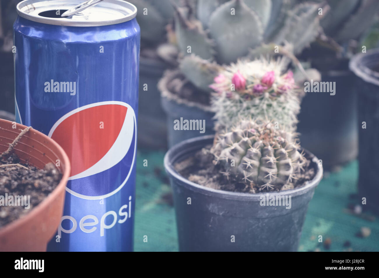 Pepsico plant hi-res stock photography and images - Alamy