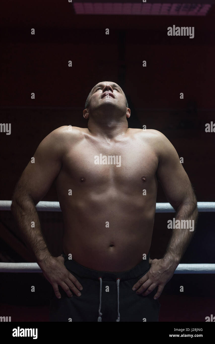 portrait of muscular professional kickboxer who standing in the ring ...