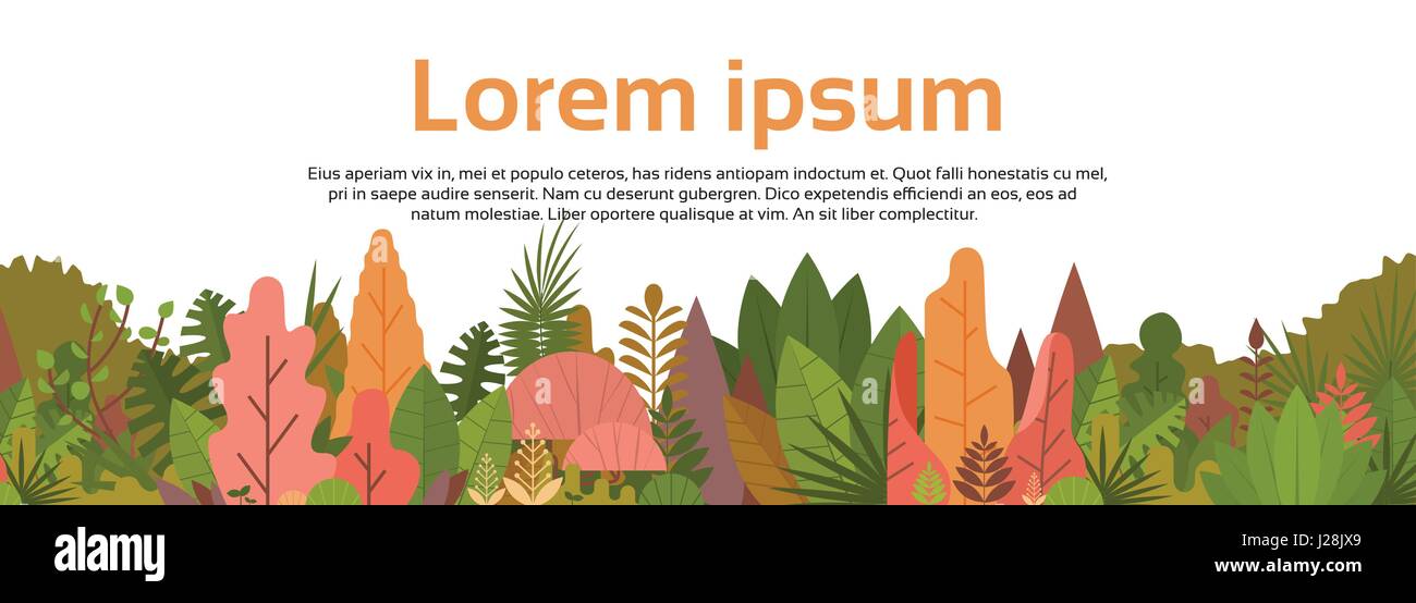 Banner autumn landscape forest Stock Vector Images - Alamy