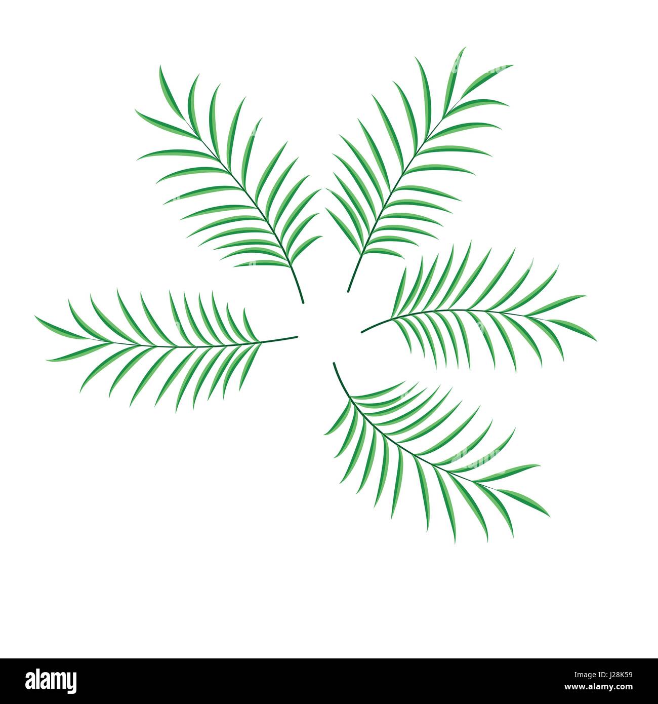 Leaf close up isolated Stock Vector Images - Alamy
