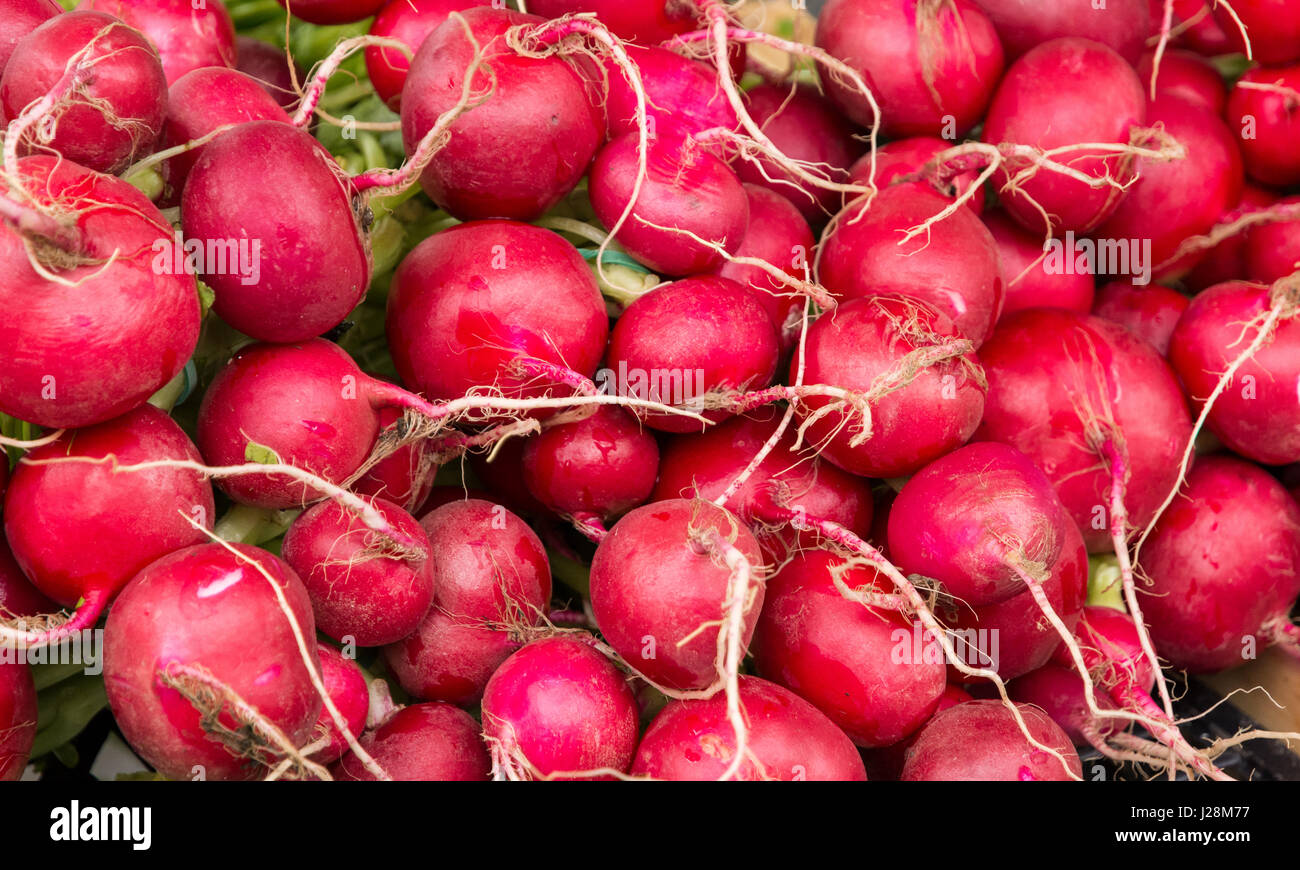 Red radishes. Organic vegetables Stock Photo - Alamy